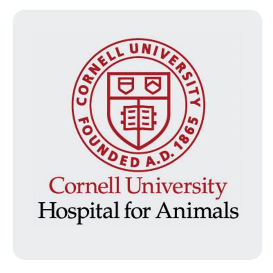 Otto Partners with Cornell University Hospital for Animals - Otto