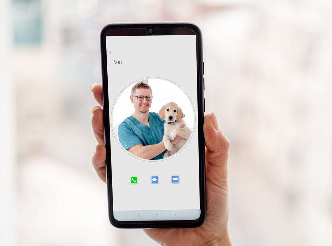 Otto Launches Clinic Connect to Streamline Vet Front-Office Operations ...