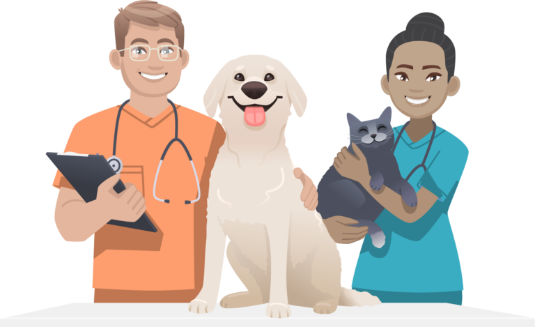 2022 Veterinary Stats - Otto