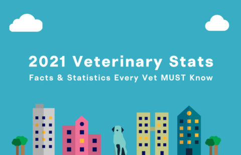 18 Facts & Statistics Every Veterinarian MUST Know