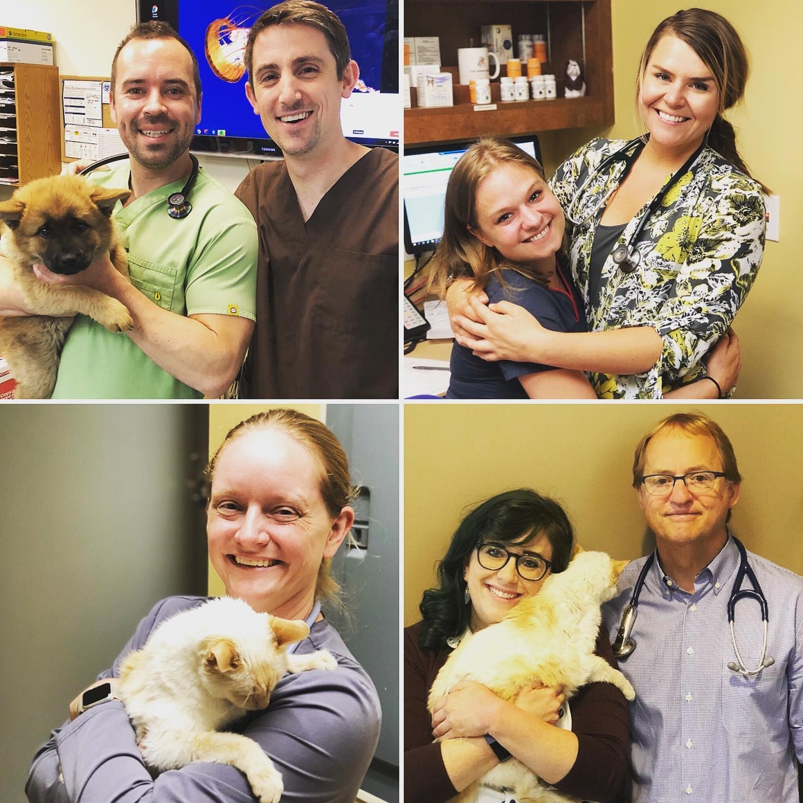 How Lien Animal Clinic Used Otto to Generate $11,520 in Just Five Days ...
