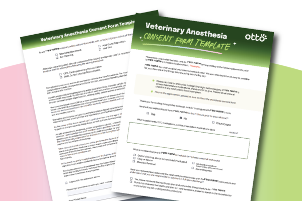 Veterinary Anesthesia Consent Form Template - Otto