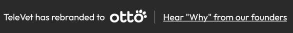 Otto: Veterinary Workflow Platform