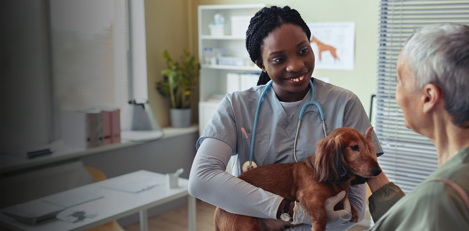 Otto: Veterinary Workflow Platform