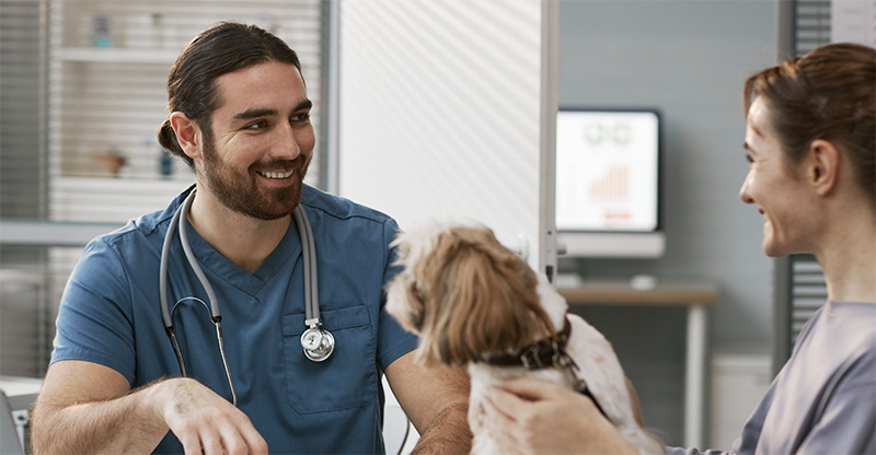 Top 4 Digital Forms for Vet Clinics - Otto