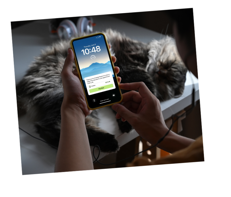 Otto: Veterinary Workflow Platform