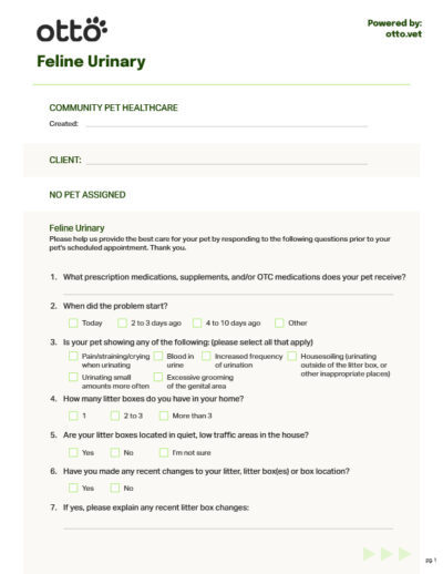 Feline Urinary History Form Template - Otto