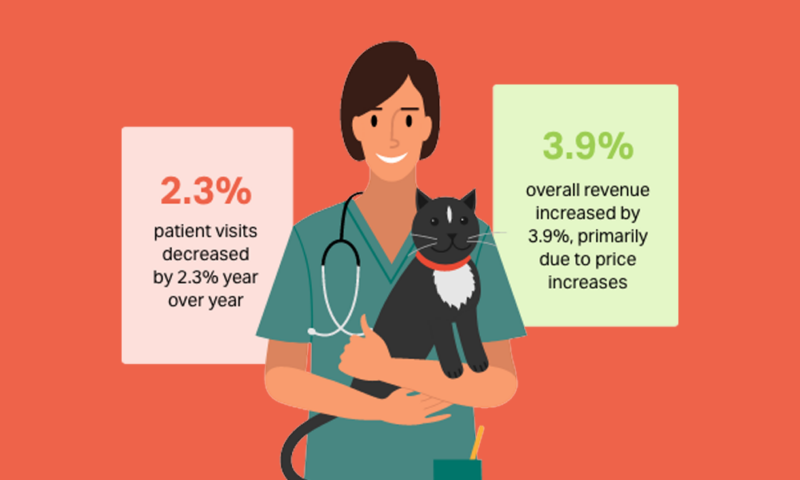 Veterinary Key Facts and Statistics to Know - Otto
