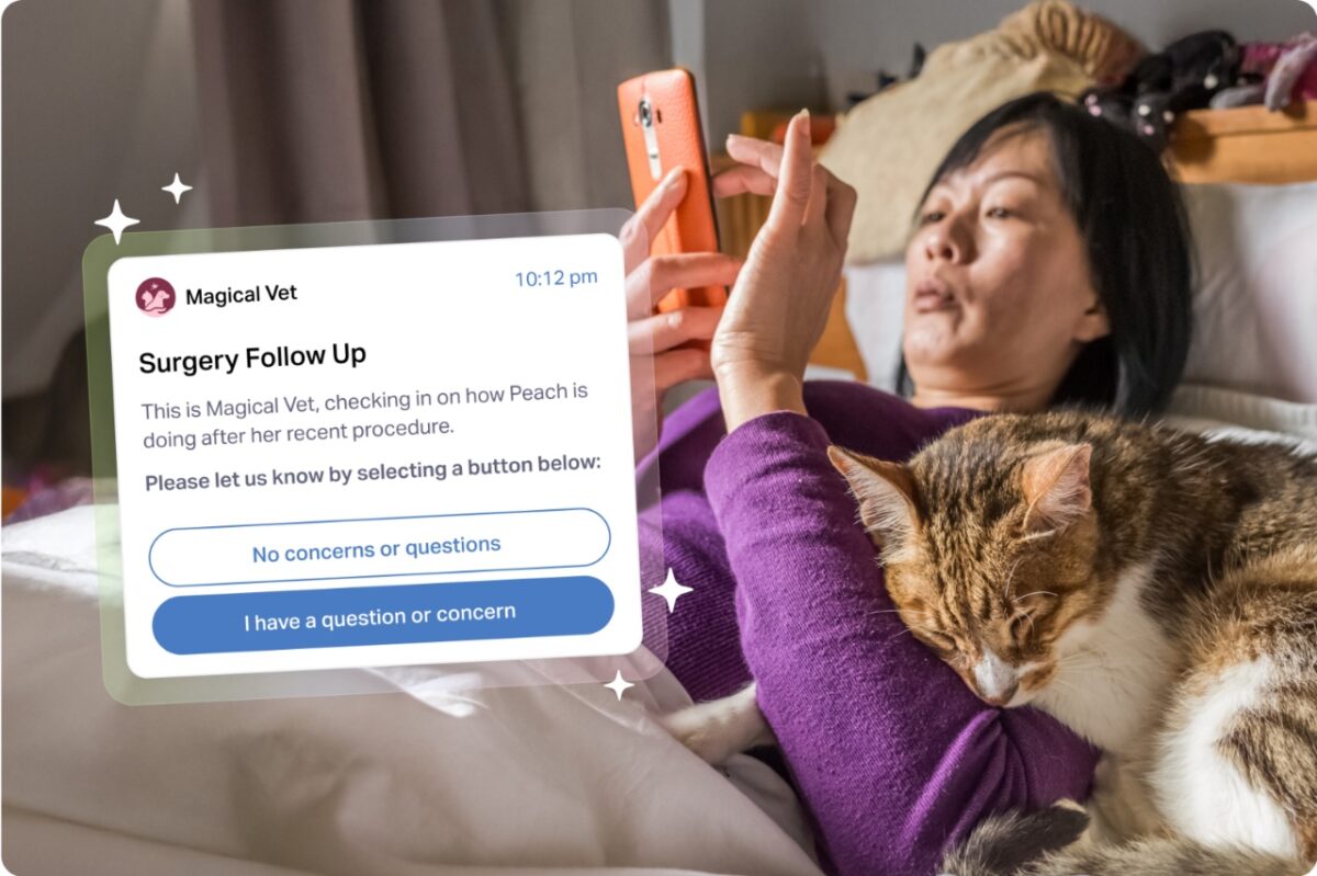 Otto: Veterinary Workflow Platform