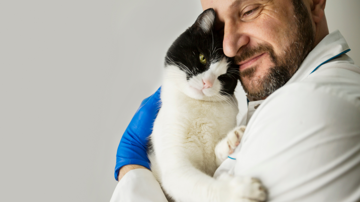 Otto: Veterinary Workflow Platform