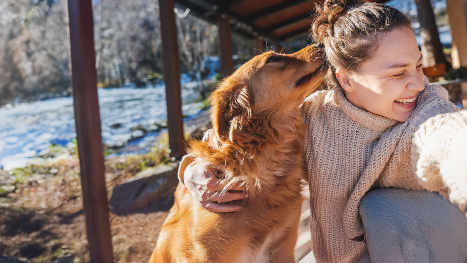 Otto: Veterinary Workflow Platform