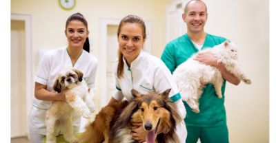 Otto: Veterinary Workflow Platform