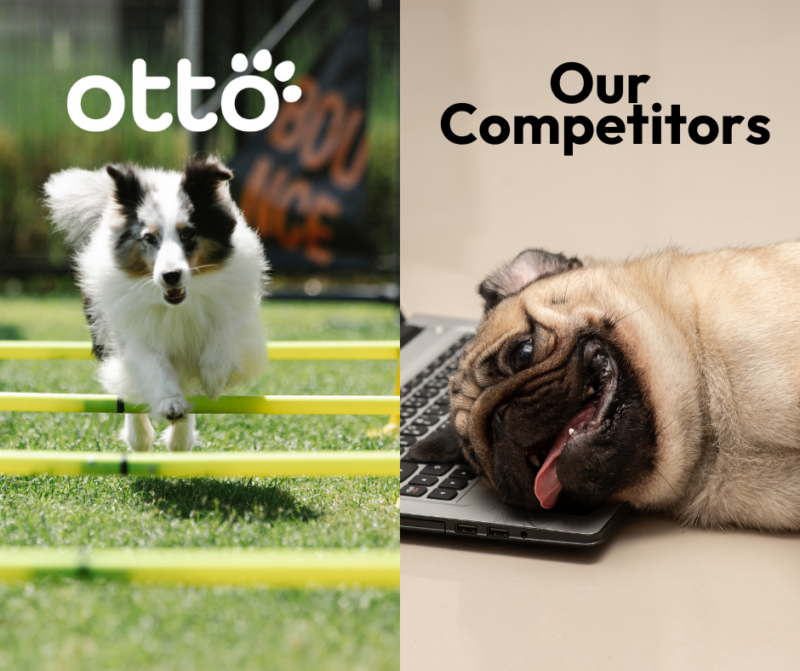 Otto: Veterinary Workflow Platform