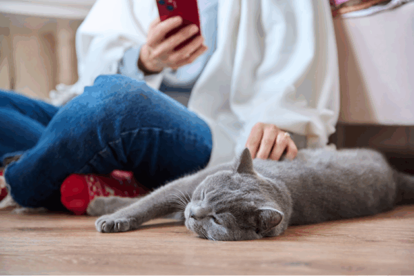 Free Veterinary Form Templates - Otto.vet